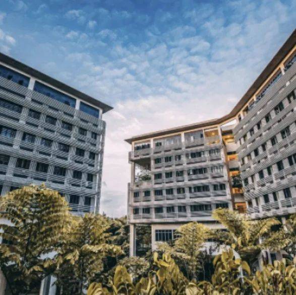 NTU 2021年在校学生及职工数据大揭秘！_人数_研究生_年度