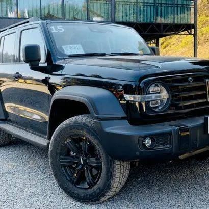 坦克400即将上市，实力碾压丰田霸道，2.0T+9AT+254匹，仅25万起售_越野_动力_匹配