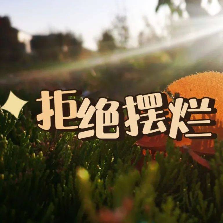 拒绝内耗 停止 摆烂”|向 摆烂”say No !生活图片阳光