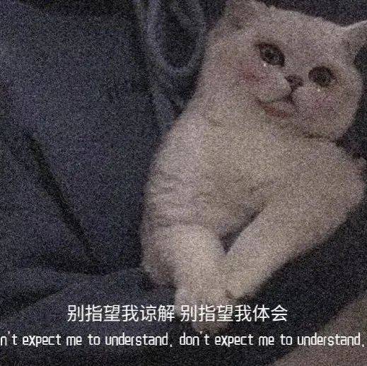 但凡你有一点爱我 就能一眼看出我的难过谅解记性觉悟