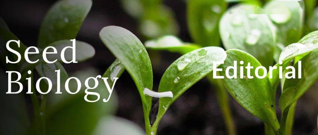 Seed Biol | 《种子生物学》创刊，崖州湾种子实验室和Maximum Academic Press联合创办_研究_期刊_分子