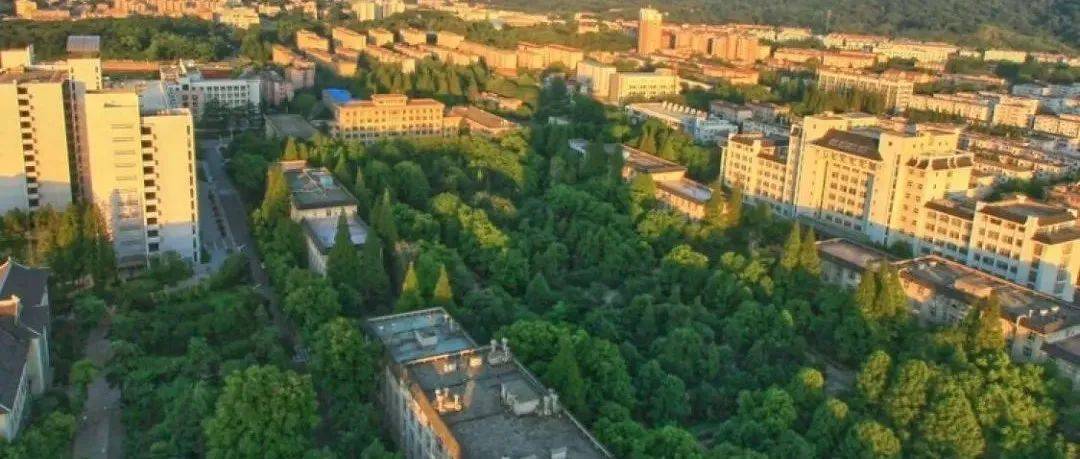 Miss U、Love U和NJFU_世界_南林_青春