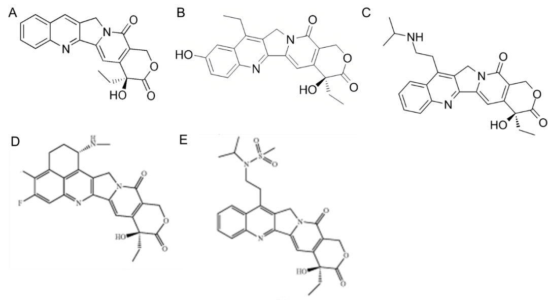 科伦博泰Trop2-ADC（SKB264）浅析_Payload_生物_肿瘤
