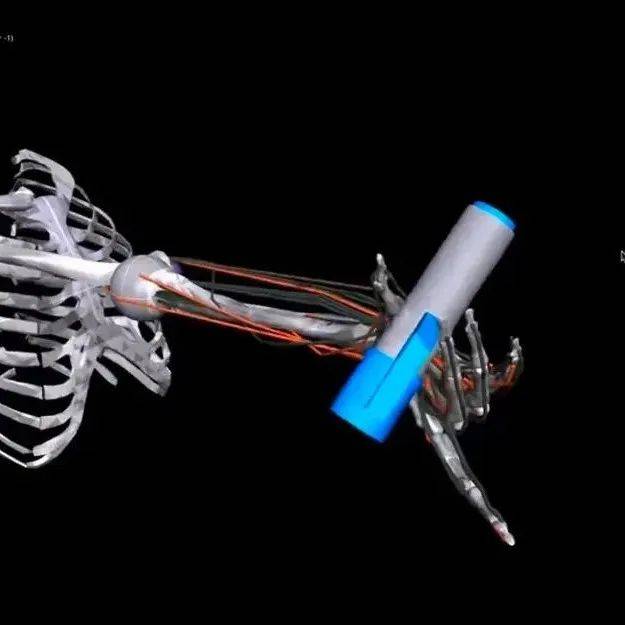 Meta宣布开发MyoSuite平台：更有效地创建逼真的肌肉骨骼模型_运动_模拟_MyoSuite