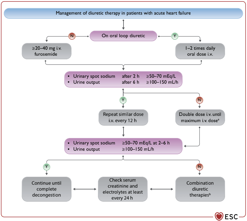 李广平教授：心力衰竭的分型和处理 | OCC 2022_诊断_利尿剂_HFmrEF