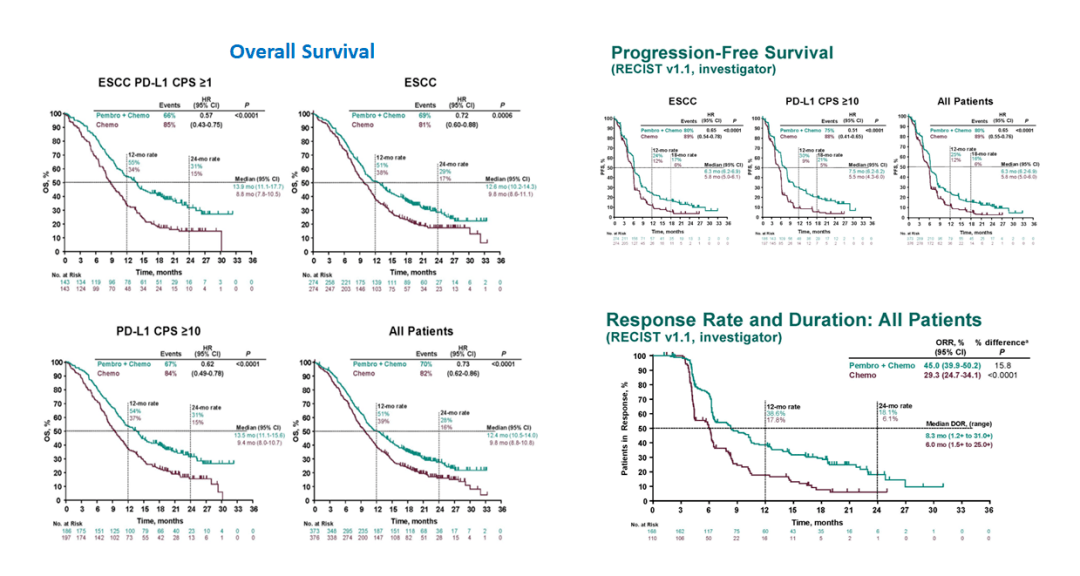 K 药的「犟」和「强」_帕博利_治疗_研究