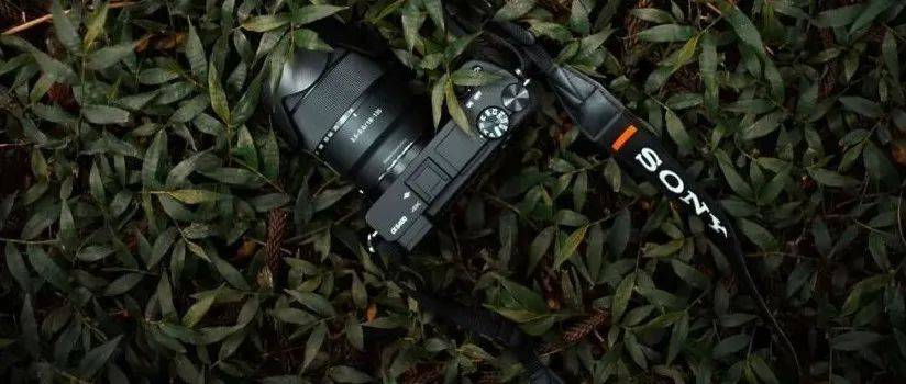 索尼A7R5、 FX1、 RX10M5……85-135mm F2传新消息……_视频_对焦系统_支持