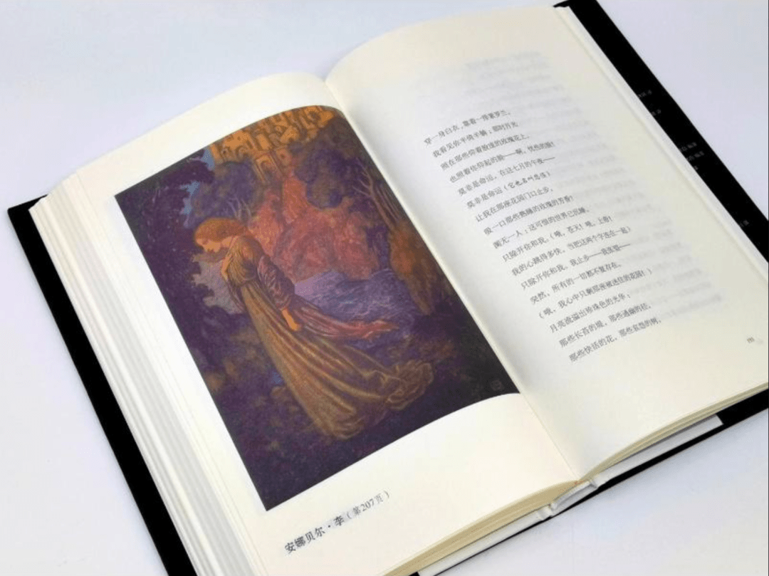 新书速递|爱伦·坡诗集(插图典藏版)诗歌插画曹明伦
