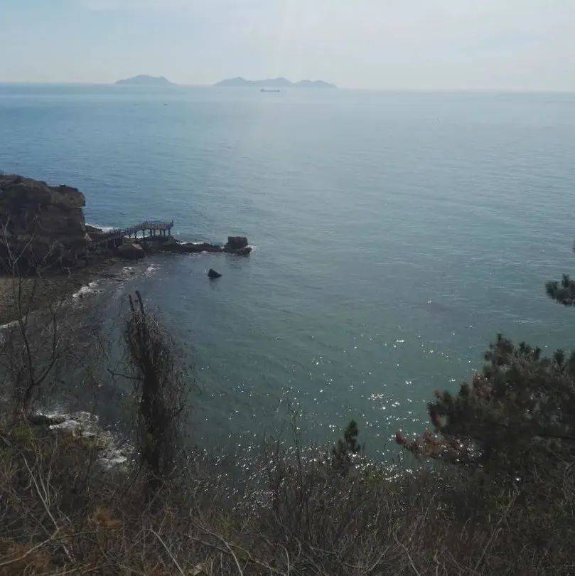 PPP、EPC、PMC、DB、DBB、CM、BOT概念及优缺点全解_项目_风险分配_施工