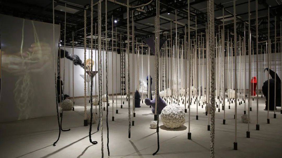 金专｜中国美术学院国家级一流本科专业建设点——纤维艺术_教学_国际_当代