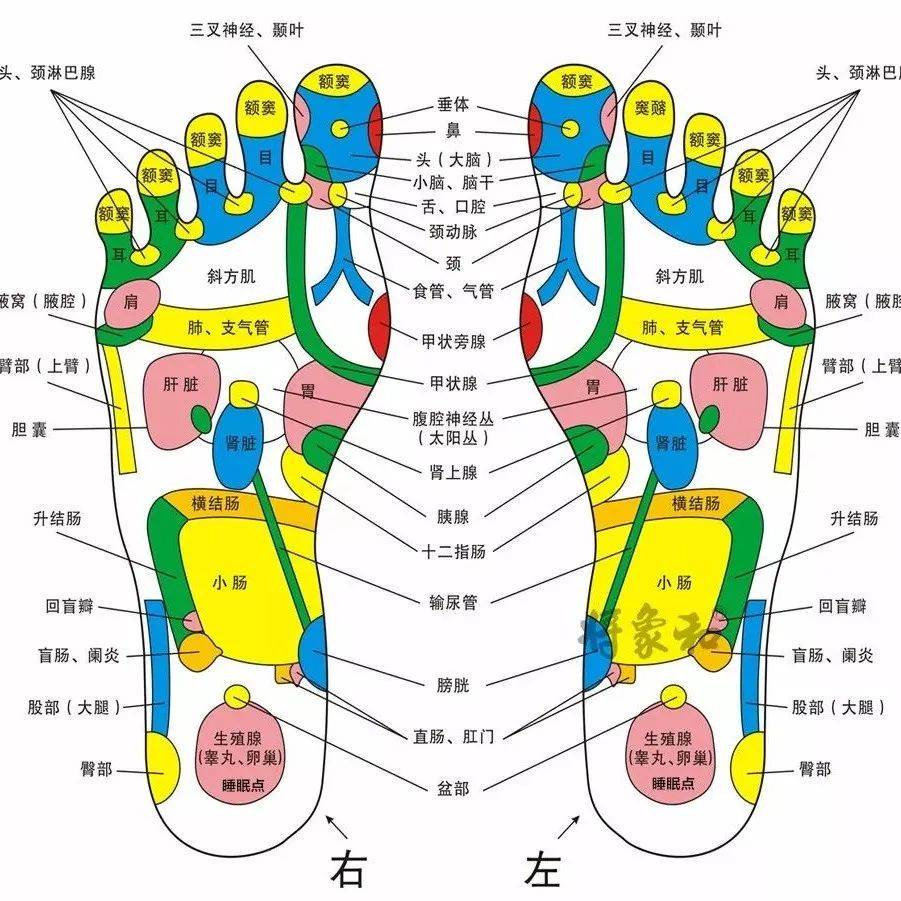 如何疏通肝气呢？肝气不舒揉这里，全身的筋就都揉开了！身体脚底人体