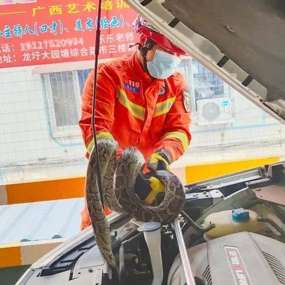 大暑天, 有条友”跑到停车场乘凉,结果挨了梧州市救援报警