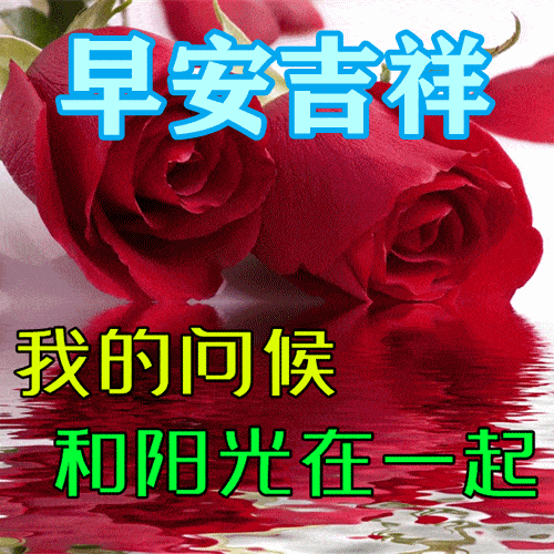 2022最新早上好表情包，幸福满满，快乐每一天！生活束美丽祝福