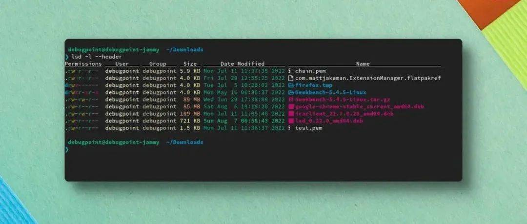 重新想象和设计你的文件和目录列表 | Linux 中国_exa_ls_命令