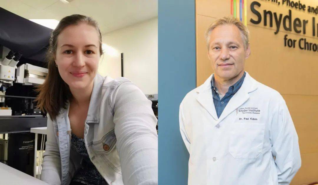 饥饿激素与伤口愈合之间的惊人联系 | 健识药师谈_研究人员_Leptin_细菌