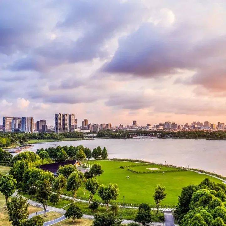 浙江首批试点，桐乡入选！_企业_数字化_发展