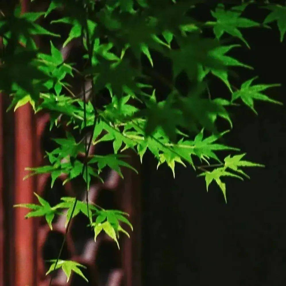 今日所悟：心态好，心情才会好乾位夫妻鲜花
