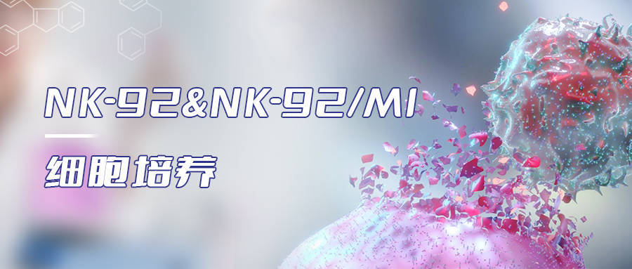 赛库细胞学堂|NK-92&NK-92/MI细胞培养_培养基_密度_增殖