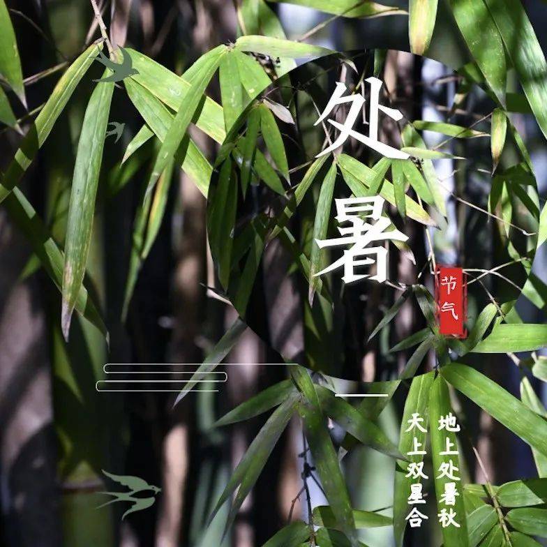 今日处暑丨处暑至,暑气止,秋意临方丽璇初审林小