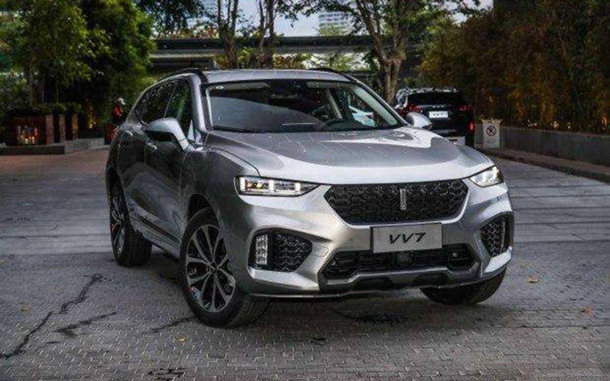 从“国内豪华SUV开创者”到月销三千多台，长城魏牌问题出在哪？_搜狐汽车_搜狐网