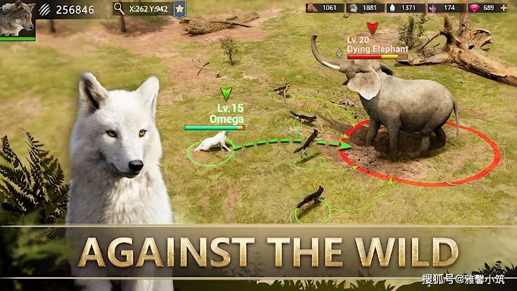 Special动物主题重度策略游戏《Wolf Game》掀起狼族崛起风潮_狼群_The_Kingdom