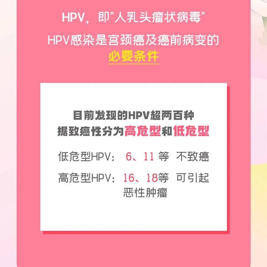 关于HPV，这些一定要知道！_疫苗_什么_王丽雅