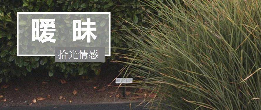 3个暧昧技巧,帮你迅速推进恋情!男生时候对方