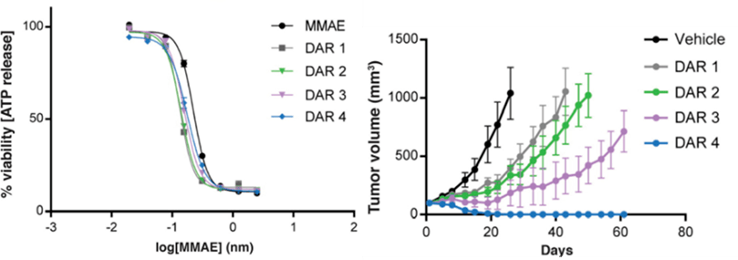 ADC的“构效关系”_药物_分子_毒素