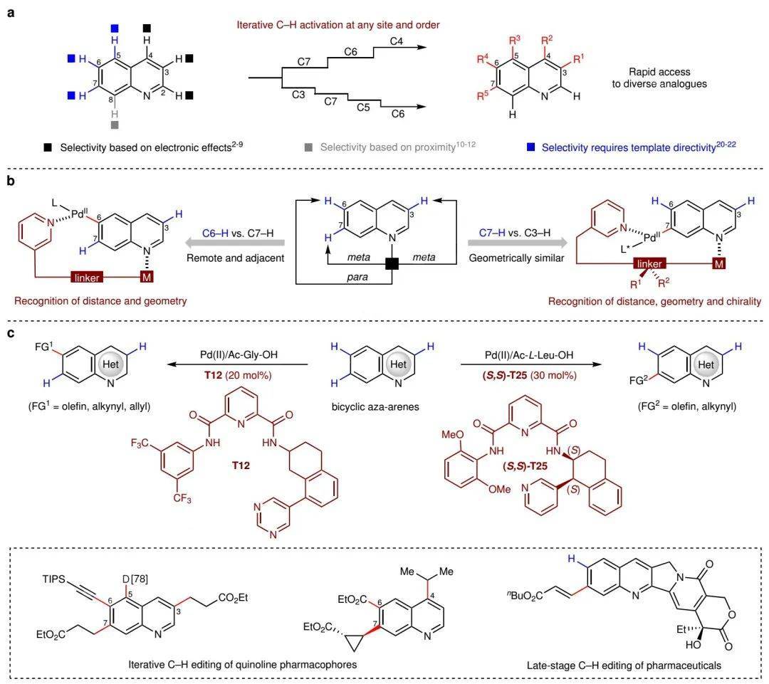 余金权组和Houk组Nature：氮杂芳烃“分子编辑”C-H官能团化_化合物_Fig_喹啉