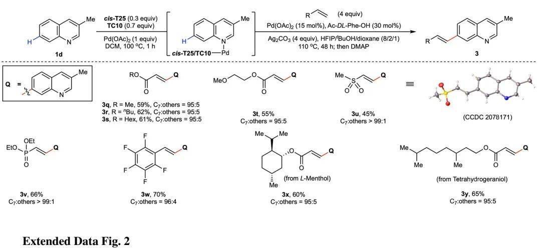 余金权组和Houk组Nature：氮杂芳烃“分子编辑”C-H官能团化_化合物_Fig_喹啉