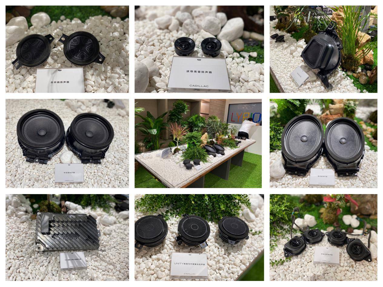 “卷上天了”19个AKG扬声器，凯迪拉克LYRIQ锐歌音响品鉴_搜狐汽车_搜狐网