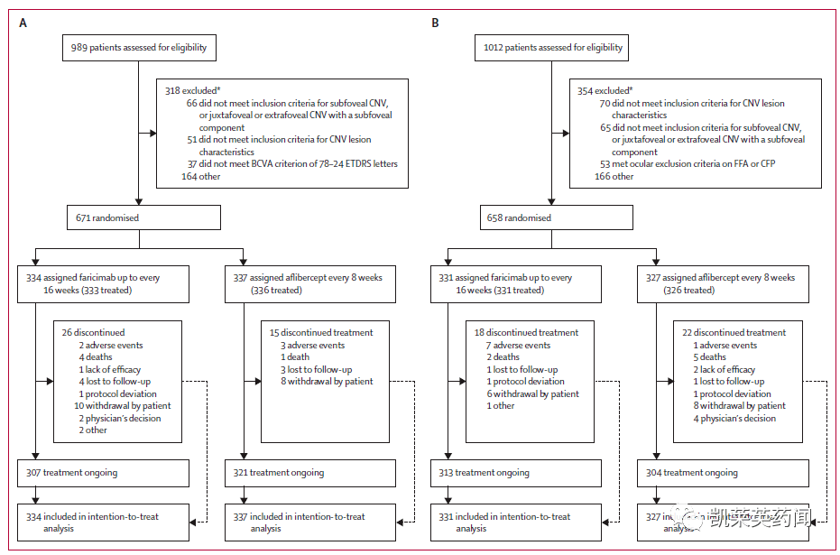 全球首款眼科双抗：EC批准Vabysmo用于治疗新生血管性或湿性AMD和DME_患者_黄斑_视网膜