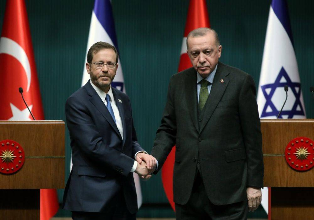 以色列任命四年来首位驻土耳其大使_新华社_以色列外交部_伊丽特·莉莲