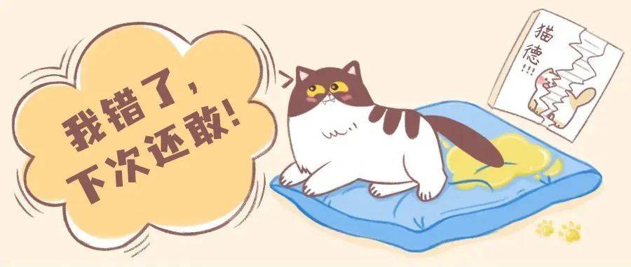 养猫那些事儿丨揭秘猫咪乱拉乱尿行为。猫砂社会化问题