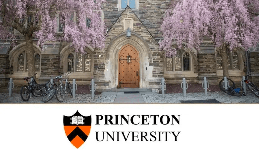 23Fall注意！牛津面向中国留学生开设奖学金，普林斯顿颁布新政直接免学费！来薅梦校“羊毛”啦_政策_年收入_奖学金