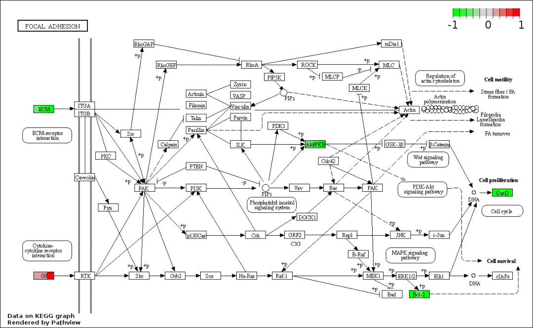 太猛了！不到五分钟，竟做出导师都满意的KEGG通路图......_按钮_基因_数据库