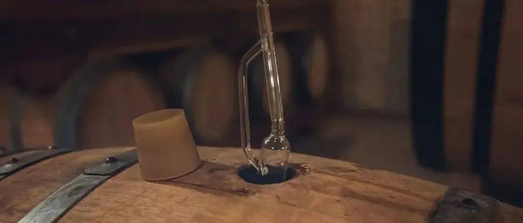 登峰造极的德国干型葡萄酒：VDP GG 最新年份推介_葡萄园_天气_酒庄