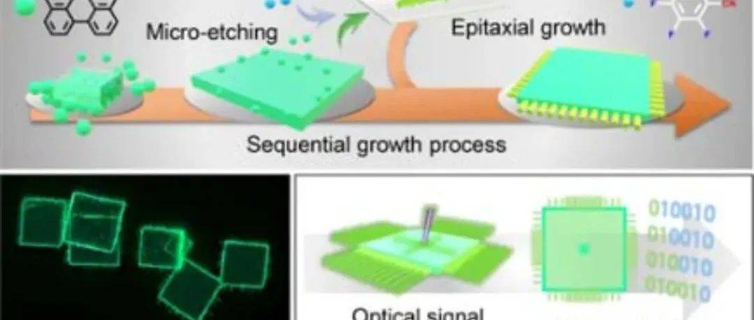 SCMs|通过有机晶体定向自组装形成的用于信号处理的芯片状异质结构_China_Science_输出