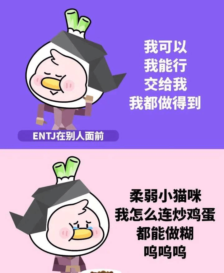 Entj型人格适合的伴侣人格entjintpinfp