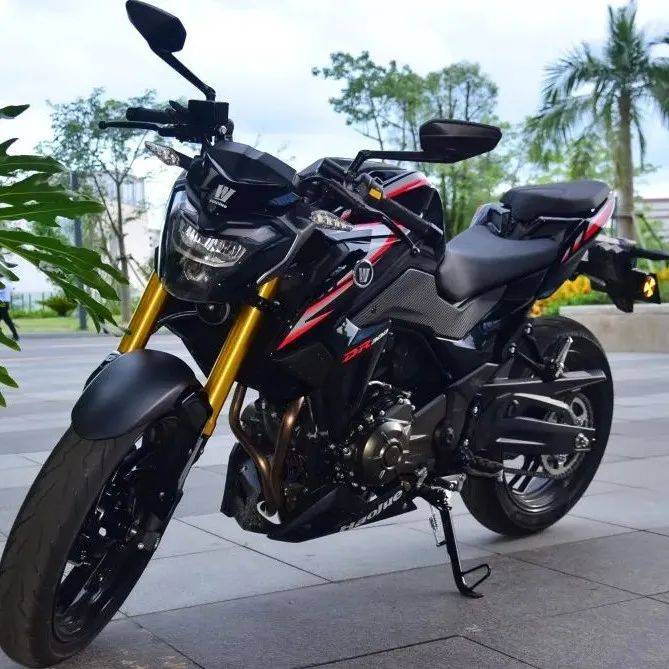 综合得分8.2分，身世“精彩”的国产街车 2021款DR 300 用户测评_感觉_卡纳_动力