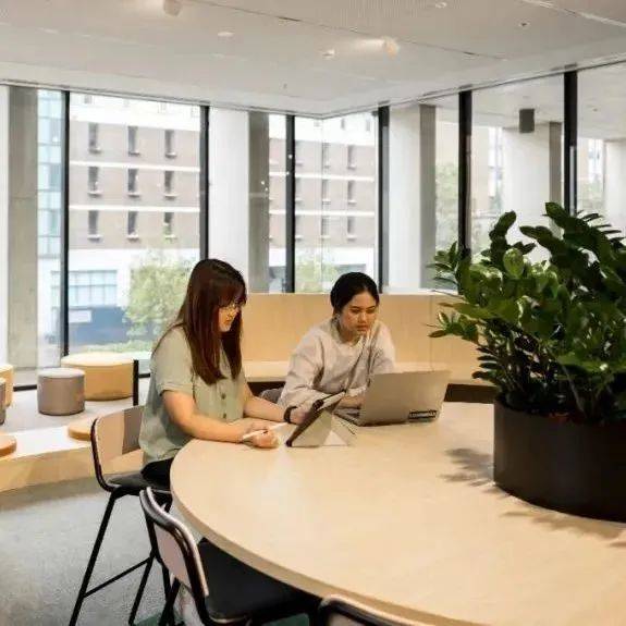 UNSW全部diploma课程对国际学生开放！部分学生可豁免英语成绩要求！_预科_Diploma_in