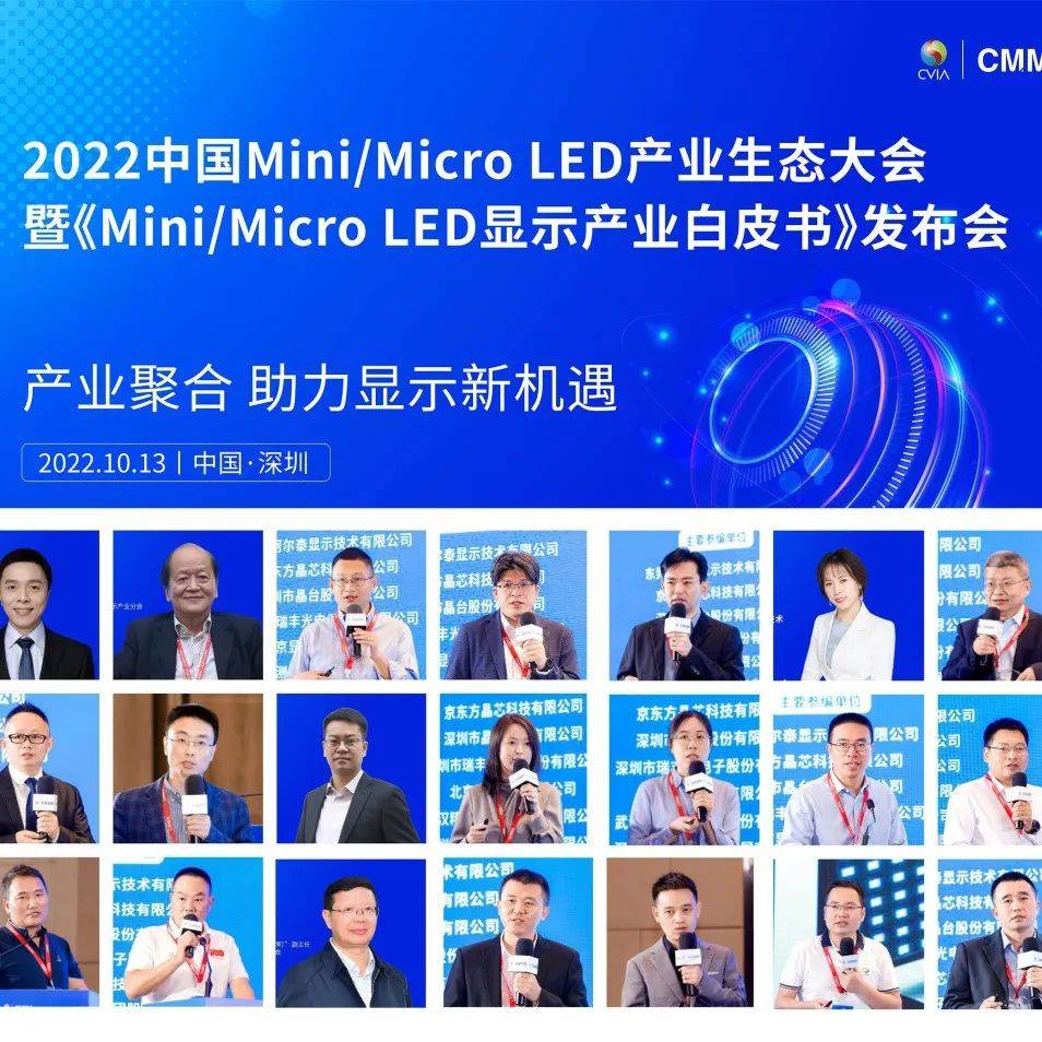 2022 中国Mini/Micro LED产业生态大会暨《Mini/Micro LED显示产业白皮书》发布会成功举办！_技术_Micro_Mini
