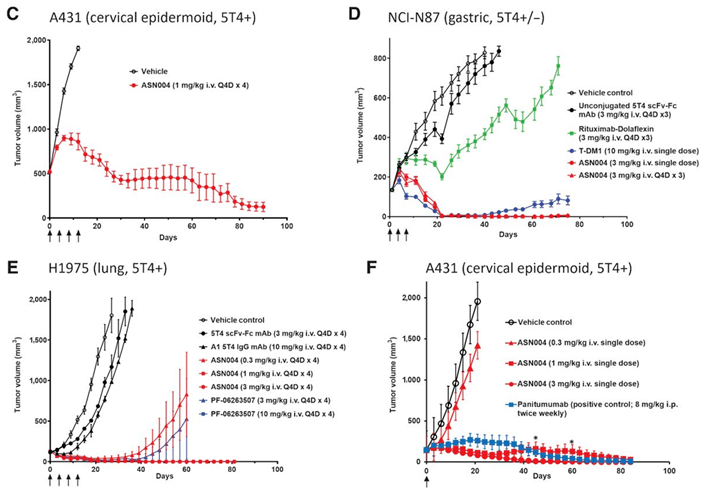 新晋ADC逆袭辉瑞，靶点新秀5T4未来方向几何？_临床_药物_抗体