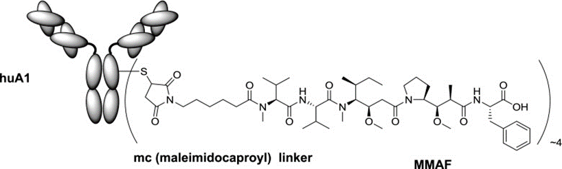 新晋ADC逆袭辉瑞，靶点新秀5T4未来方向几何？_临床_药物_抗体
