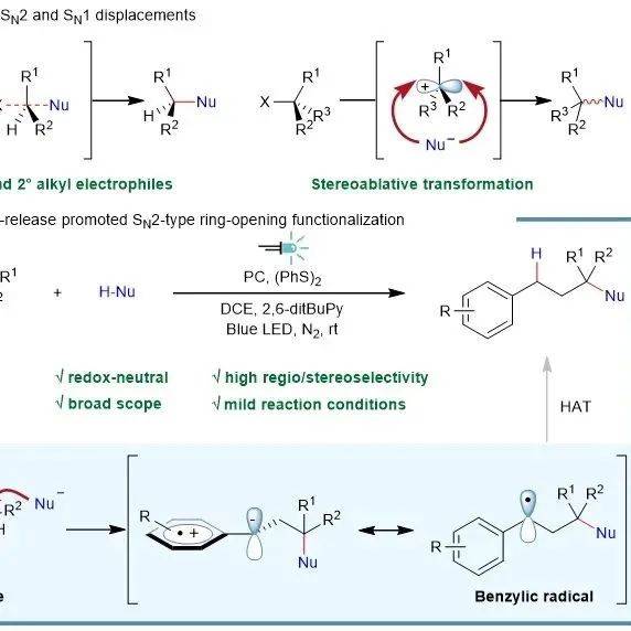 【有机】南京工业大学冯超课题组Nat. Commun.：可见光催化芳基环丙烷开环构筑大位阻sp3碳-杂原子键_反应_试剂_选择性