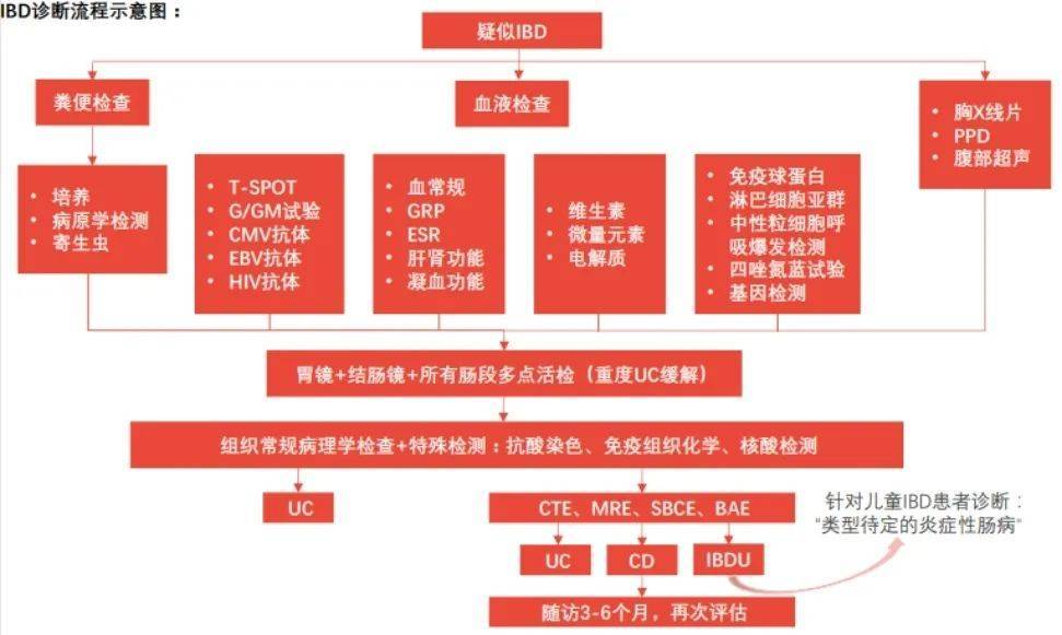 从罕见到常见，发病持续上升的IBD治疗曙光初现_相关_炎症_患病率