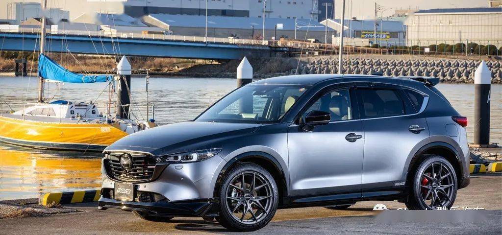 Rays VV21S，便宜的没它好看，好看的没它便宜 | 酷乐汽车_搜狐汽车_搜狐网