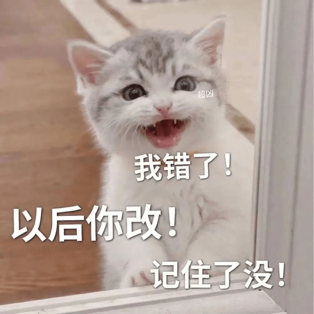 10斤的猫,9斤反骨,还有1斤屎猫猫猫咪浑身