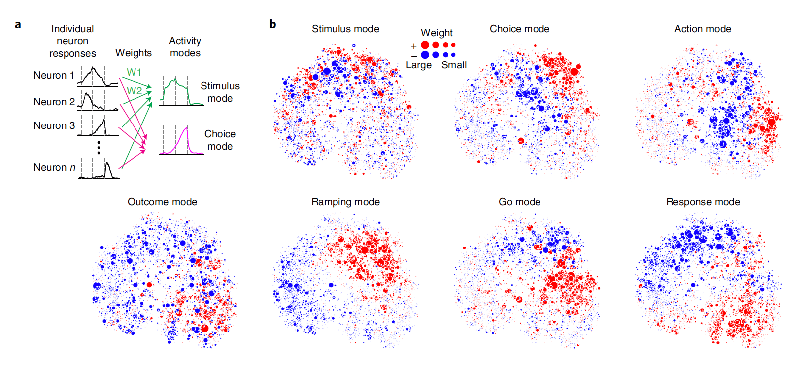 Nature Neuroscience| 当你需要做决定时，大脑是如何做出反应的？_ThalALM_神经元_决策