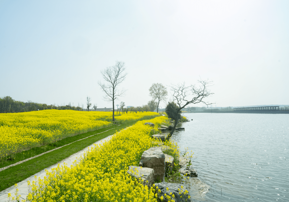 湖州长湖申线湖州段頔塘绿道入选全省最美绿道_建设_发展_文化